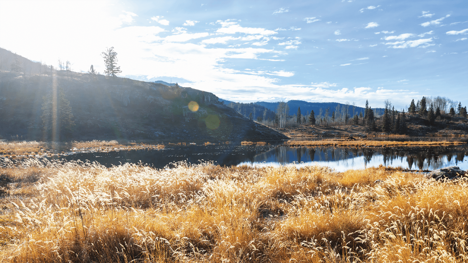 Network Expansion | Comcast Colorado